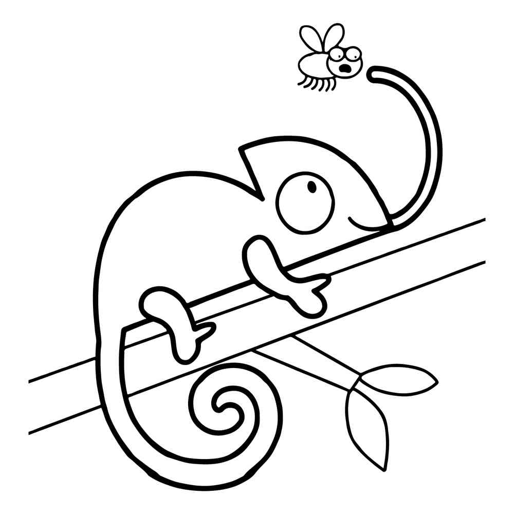 Раскраска Хамелеон для малышей распечатать или скачать