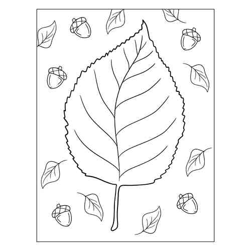 Раскраски листья | Коллекция раскрасок листьев деревьев