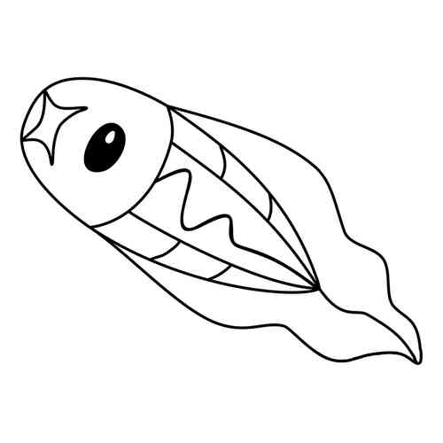 Раскраска Покемон Тимпол #0535 распечатать или скачать