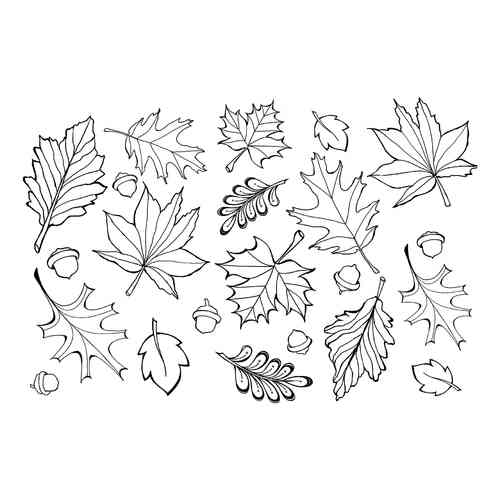 Раскраски листья | Коллекция раскрасок листьев деревьев