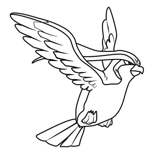 Раскраска Покемон Пиджеотто #0017 распечатать или скачать