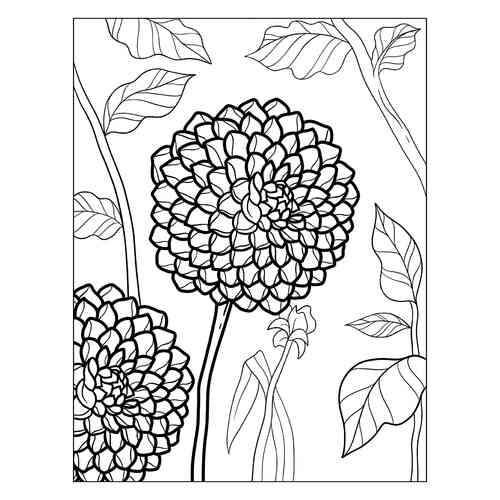 Раскраска Цветок в листьях | распечатать раскраски для детей
